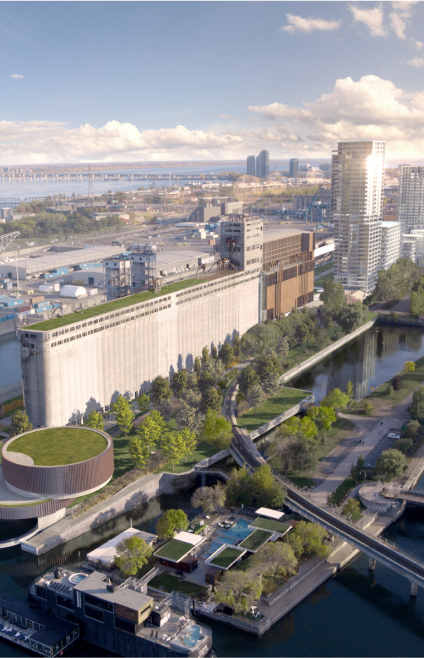 Vision Bridge-Bonaventure